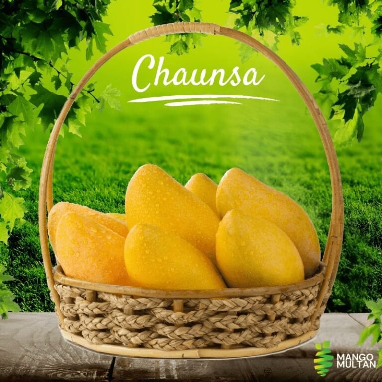Chaunsa - Mango Multan